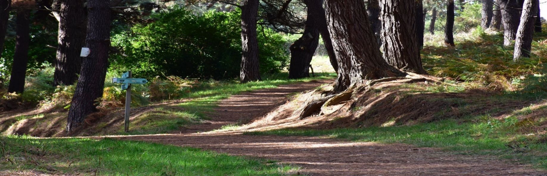Bienvenidos a Oleiros | Concello de Oleiros